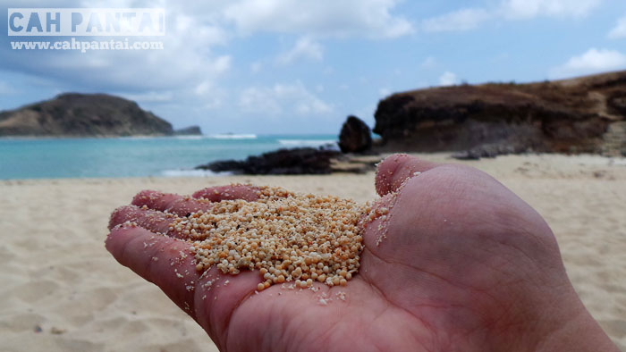 Pasir merica – Cah Pantai