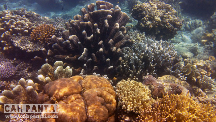 Beautiful Sintok Island – Cah Pantai